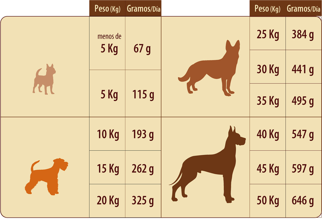 Superpet Chile – Alimento completo para perros adultos y cachorros